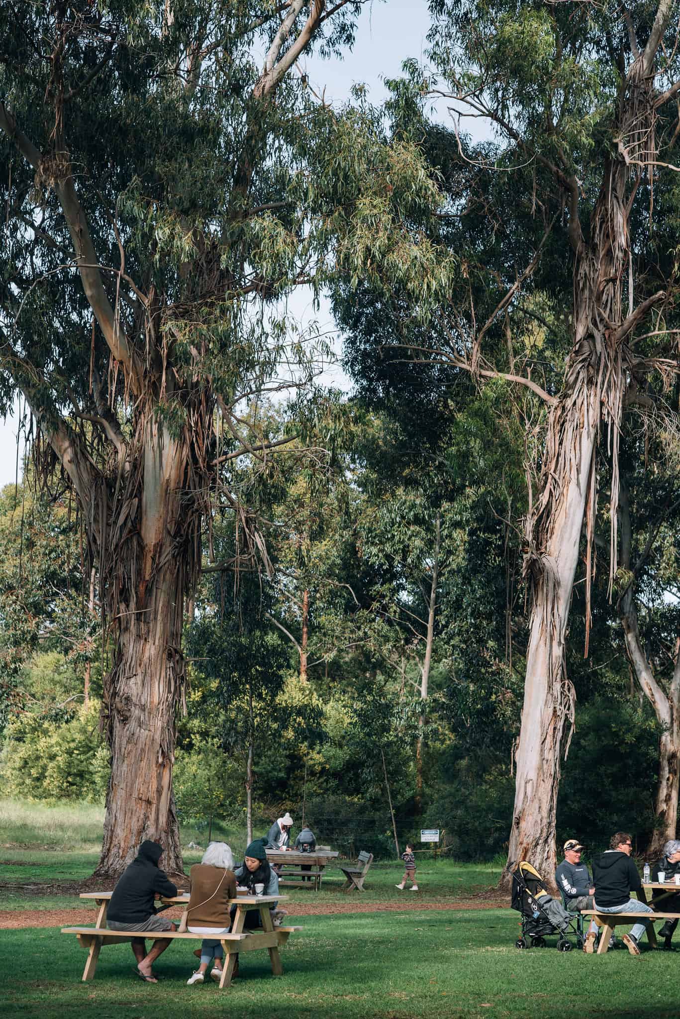 Easter Fun with Kids – Yallingup Chocolate & Cafe